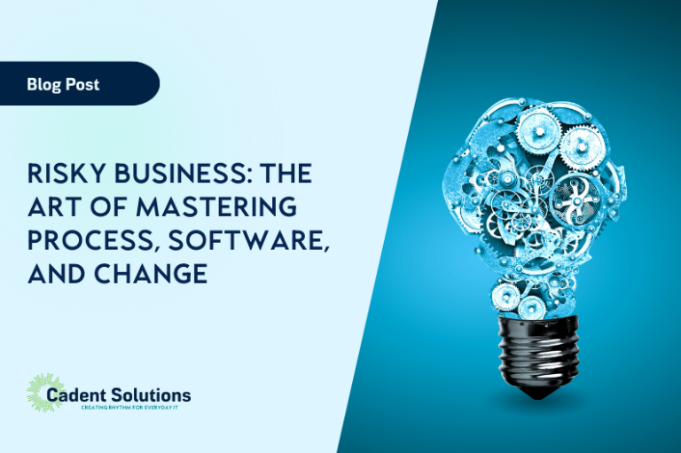 Risky Business: The Art of Mastering Process, Software, and Change ...